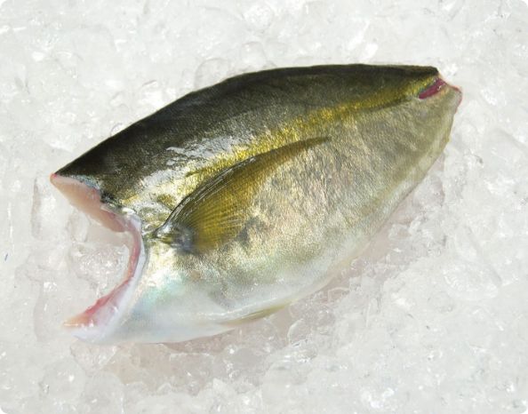 Striped Jack - Stays Fresh / RUMI JAPAN